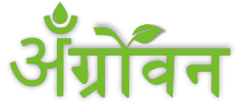 Sheti Avjare